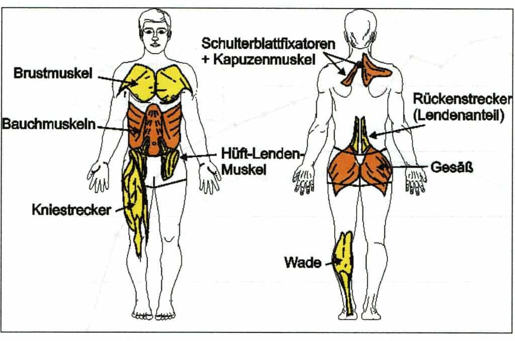 Was bedeutet: Dysbalance, muskuläre?