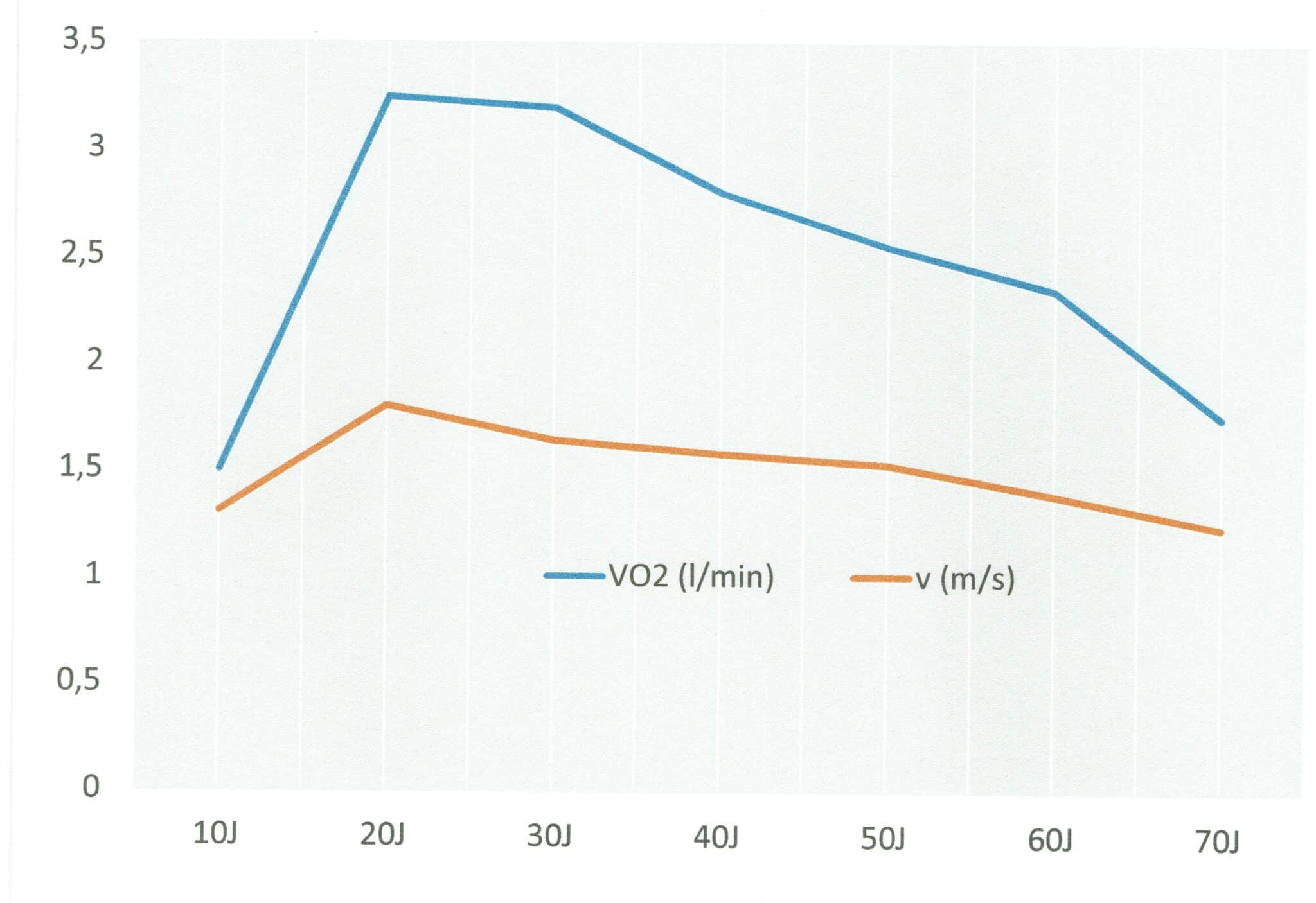 Was bedeutet: Sauerstoffaufnahme, maximale (VO2max)?