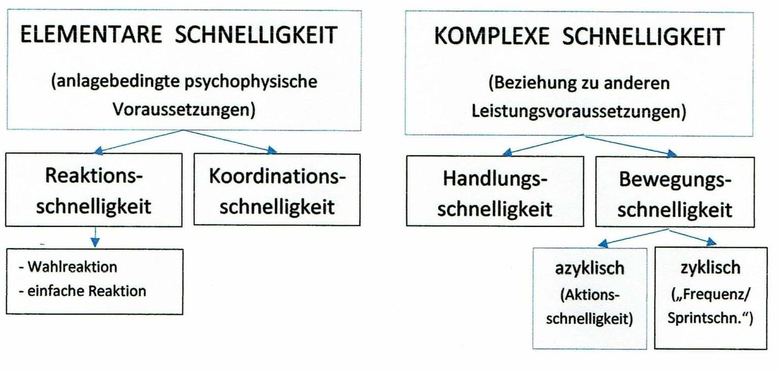 Was bedeutet: Schnelligkeit?