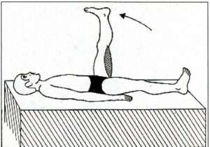 Was bedeutet: Muskulatur, ischiocrurale?