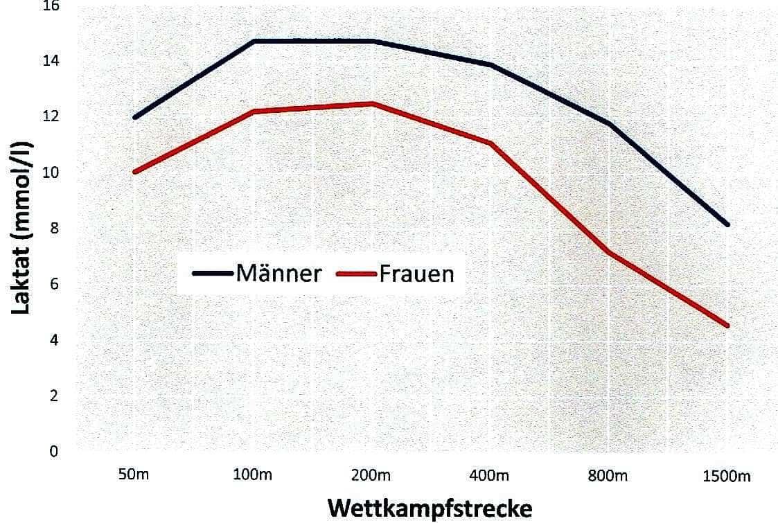 Was bedeutet: Laktat?
