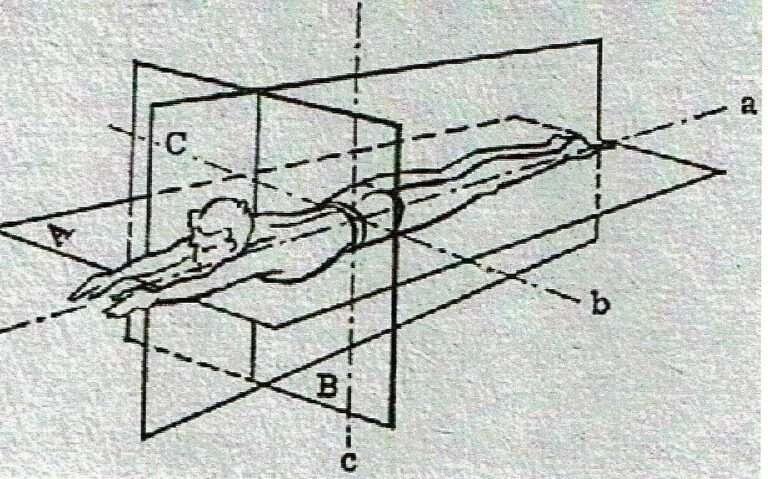 Was bedeutet: Körperachse?